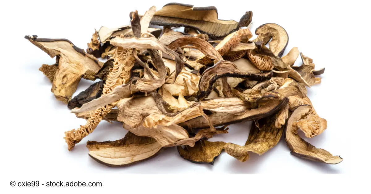 Getrocknete Pilze Wie Lange Haltbar